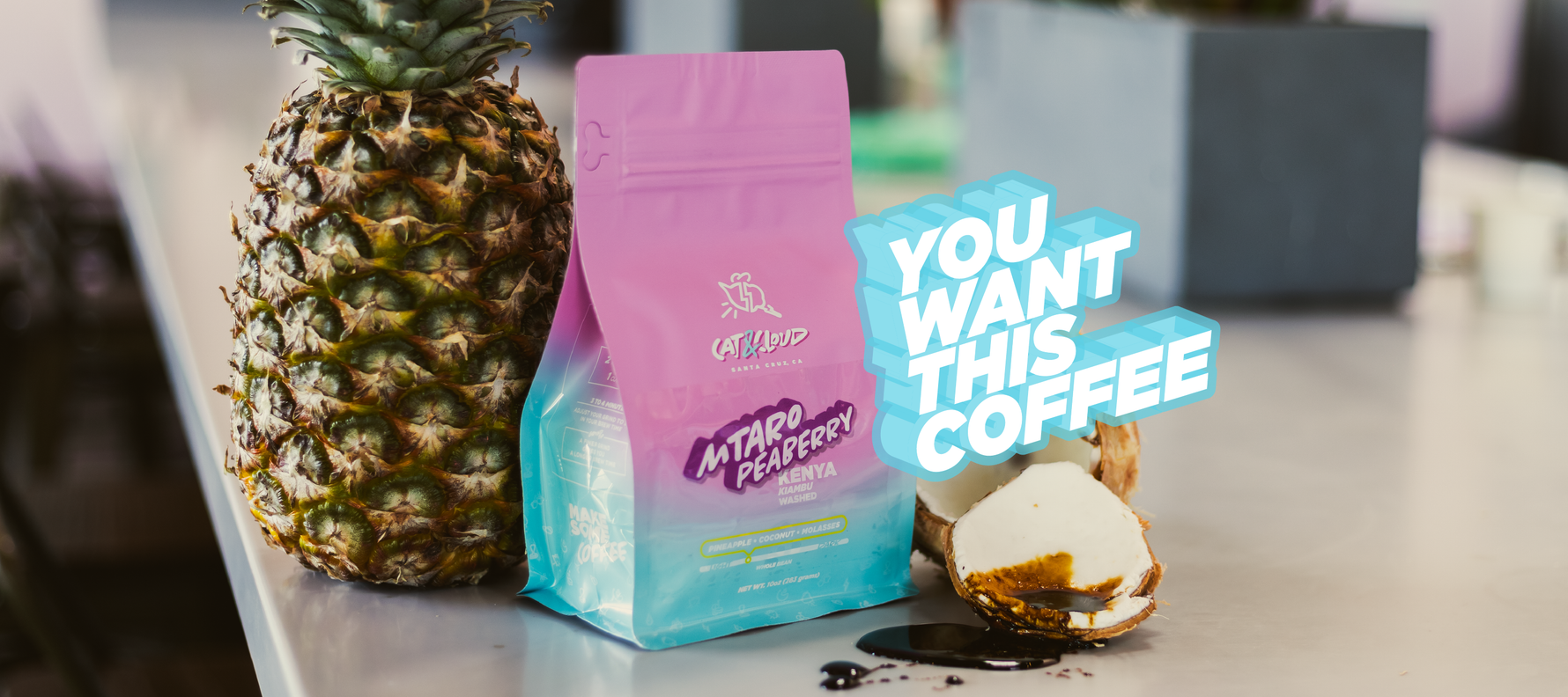 Cat and Cloud Coffee – Cat & Cloud