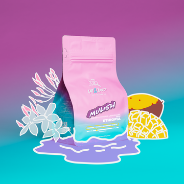 Specialty Coffee Online | Roasted Daily in Santa Cruz – Cat & Cloud